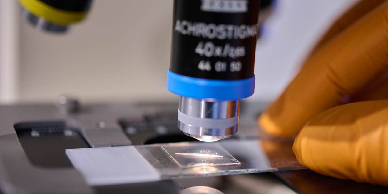 Phytopure – EN – acphis